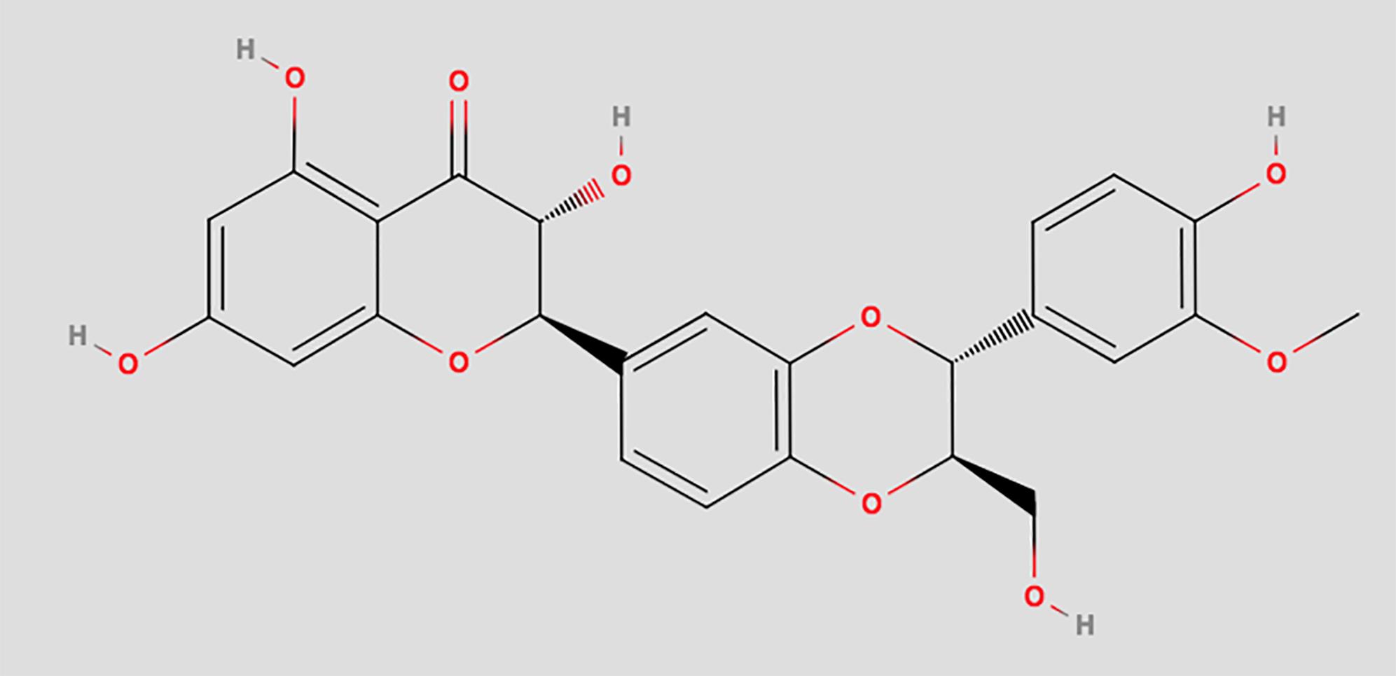 Chronic Liver Disease and Silymarin: A Biochemical and Clinical Review
