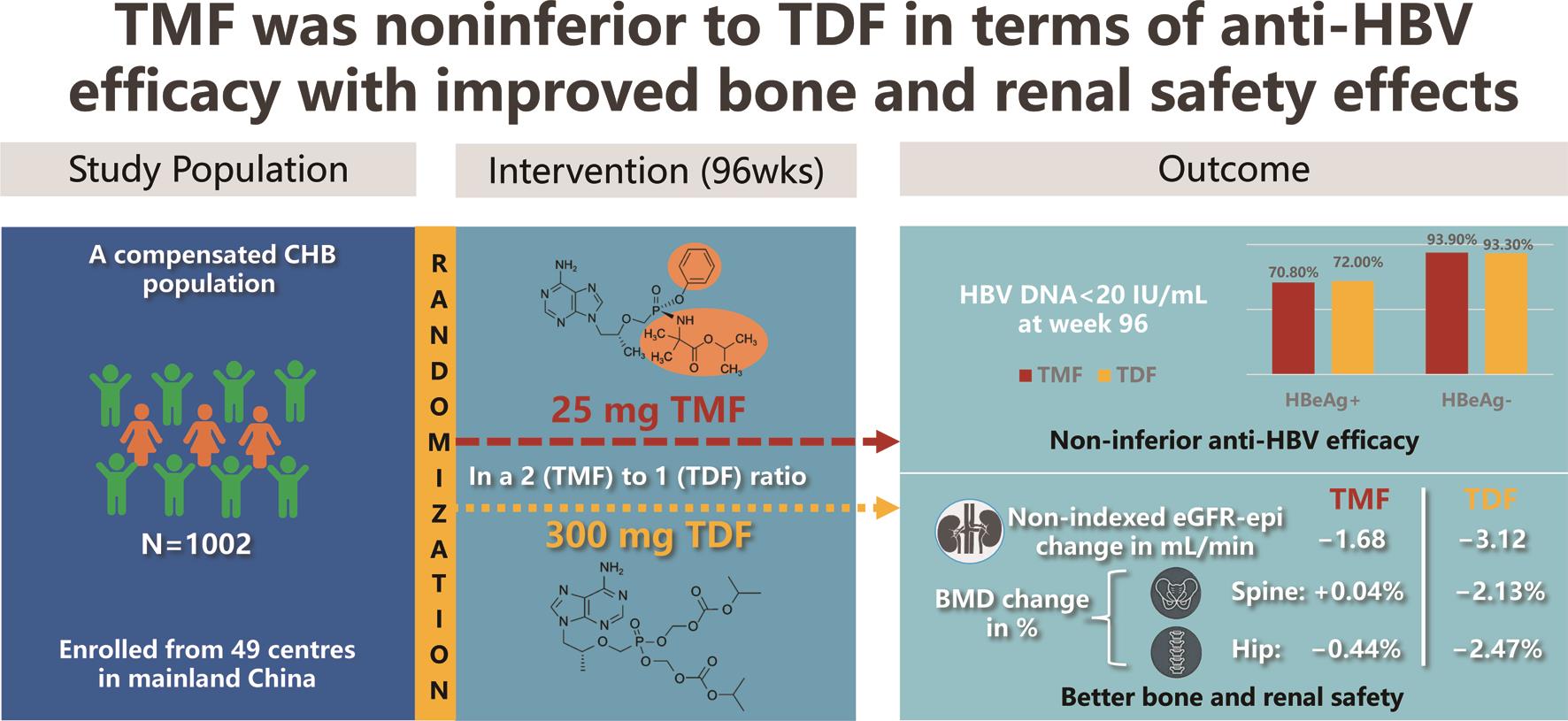 96-Week Treatment of Tenofovir Amibufenamide and Tenofovir Disoproxil Fumarate in Chronic ...
