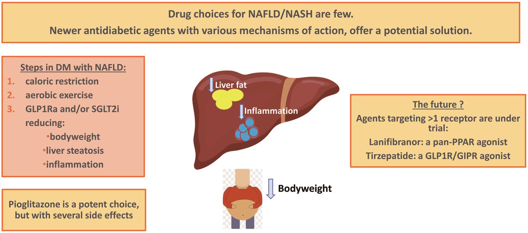 Pharmacotherapy for Non-alcoholic Fatty Liver Disease Associated with ...