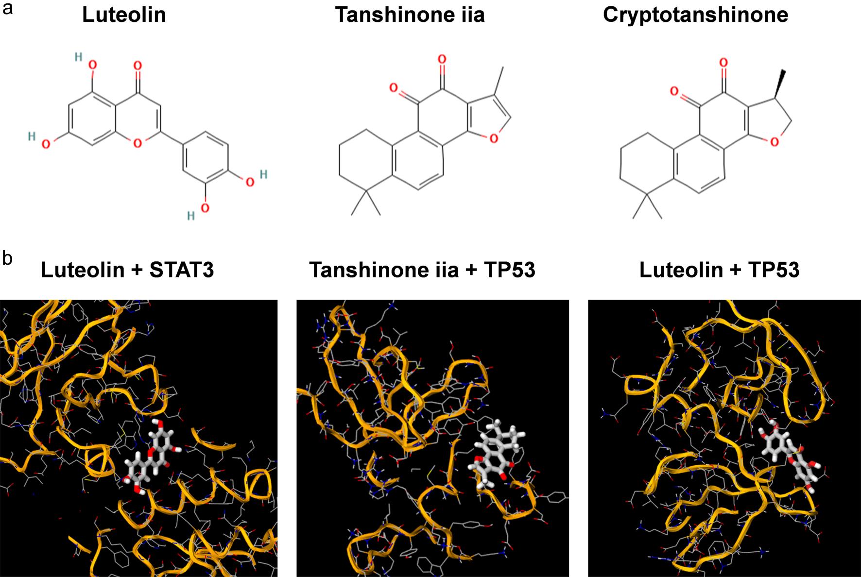 Network Pharmacology Analysis of Potential Mechanisms Underlying the ...