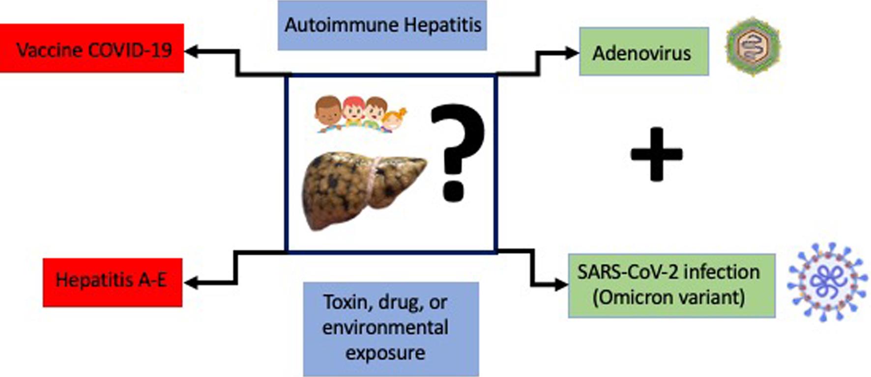 Severe Acute Hepatitis of Unknown Origin in Children: What Do We Know ...