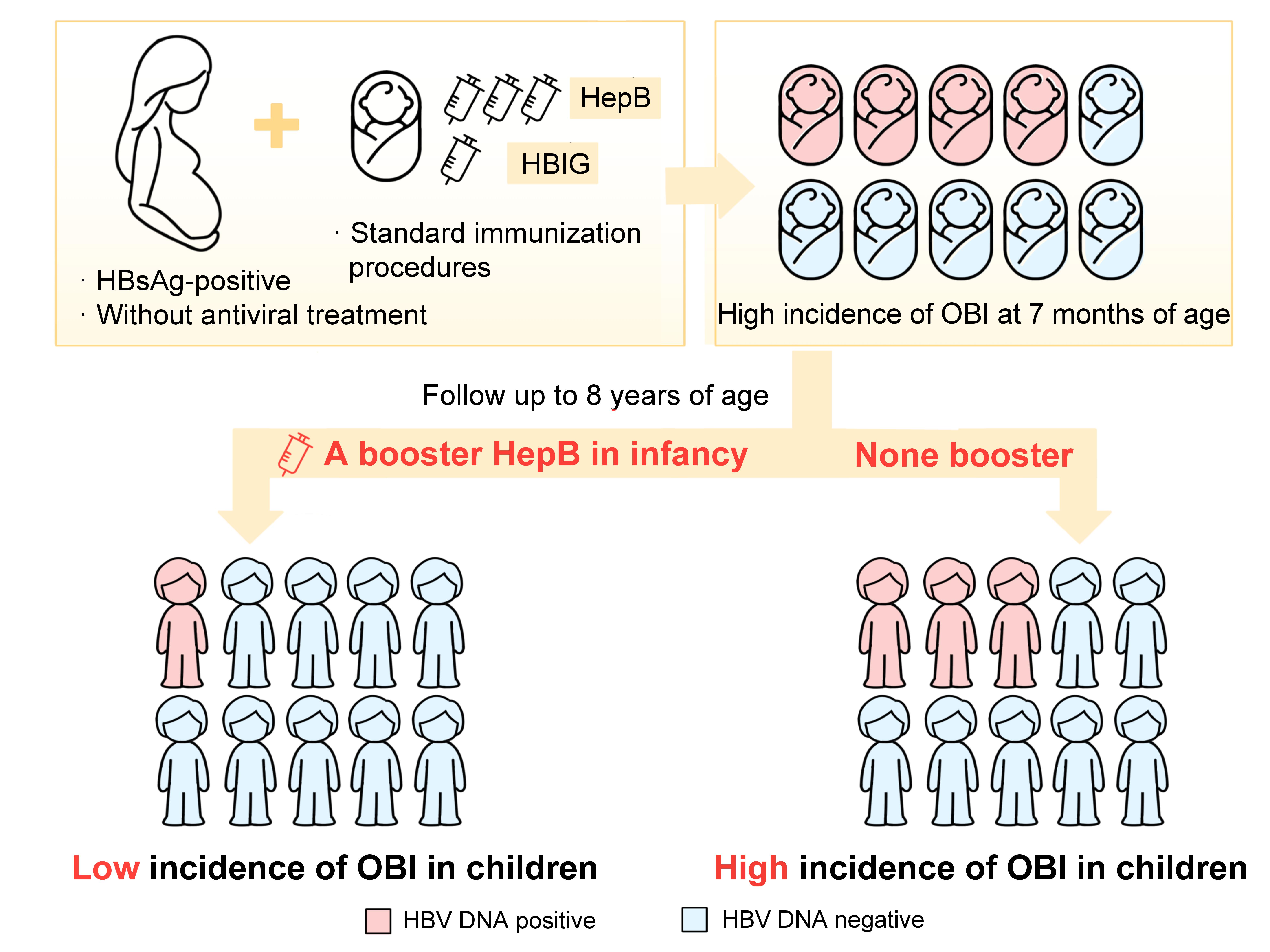 Booster Vaccination in Infancy Reduces the Incidence of Occult HBV ...