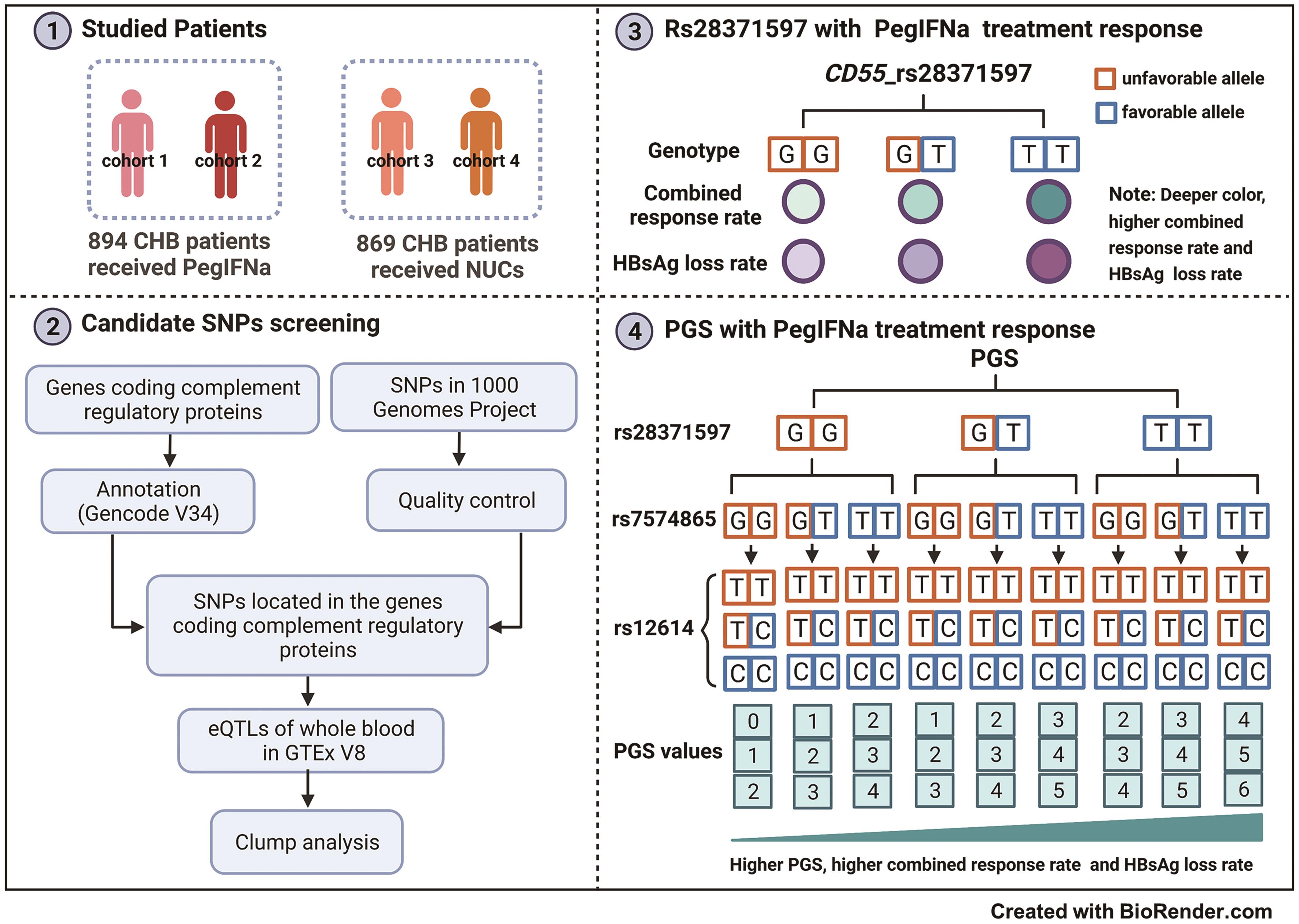 CD55 Variant Associated with Pegylated-interferon α Therapy Response in ...