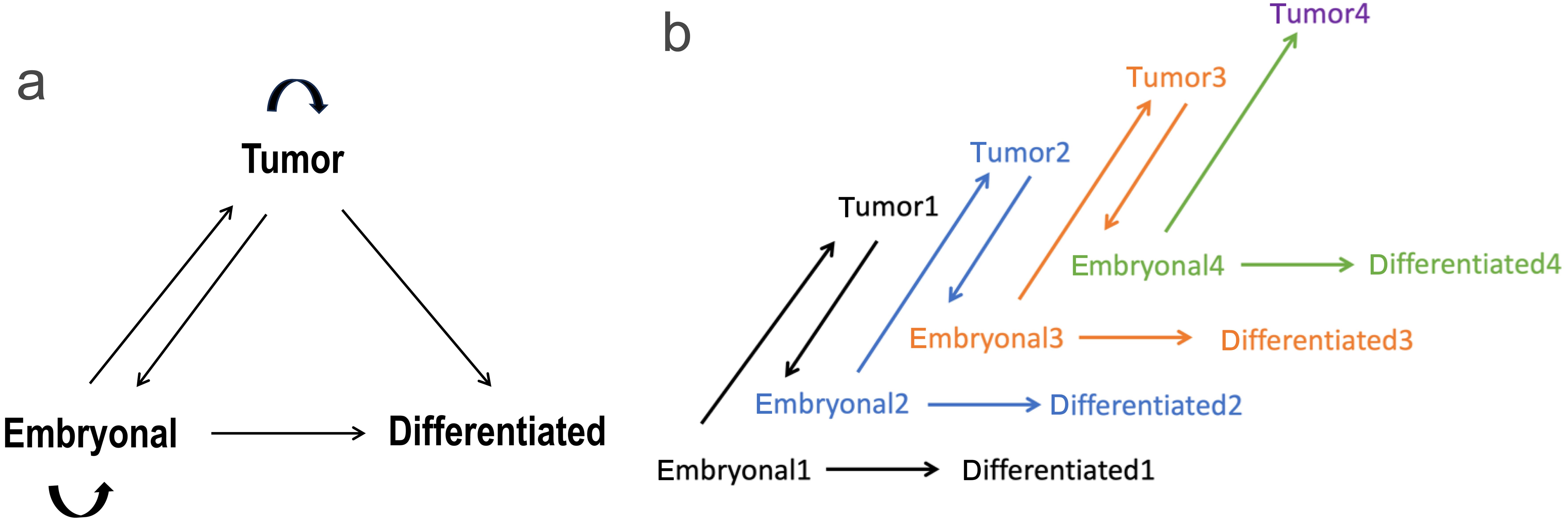 Diagrams Describing the Evolution of Gene Expression, the Emergence of ...
