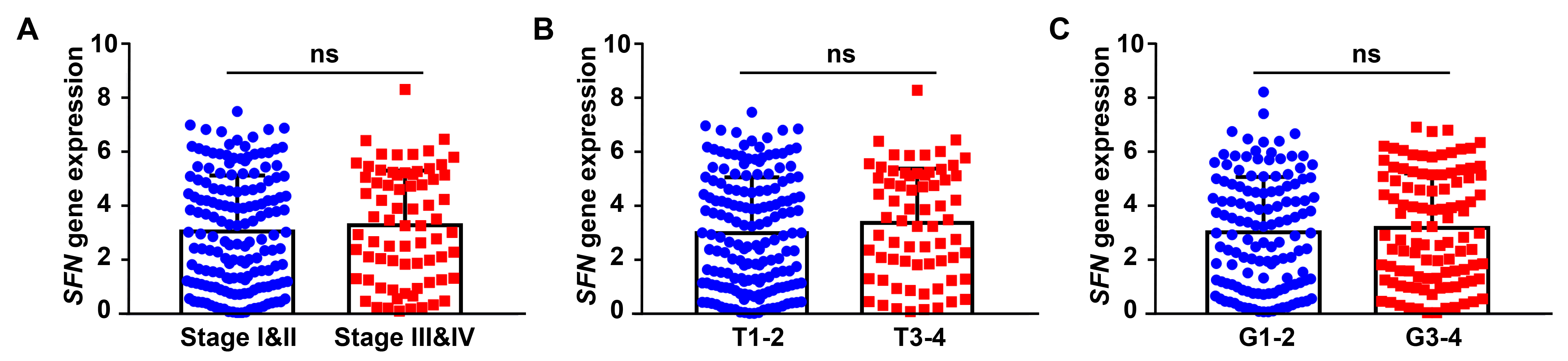 Establishment and Validation of a Four-stress Granule-related Gene ...