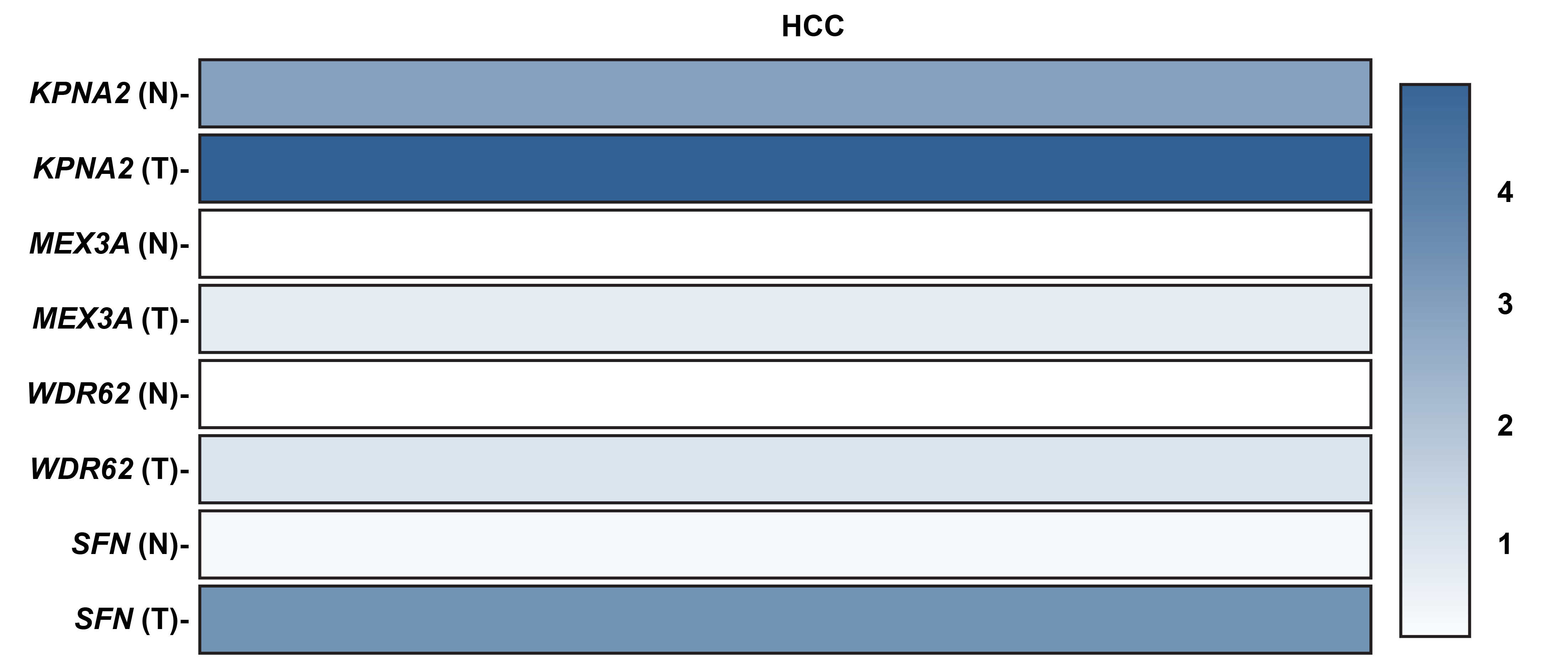 Establishment and Validation of a Four-stress Granule-related Gene ...