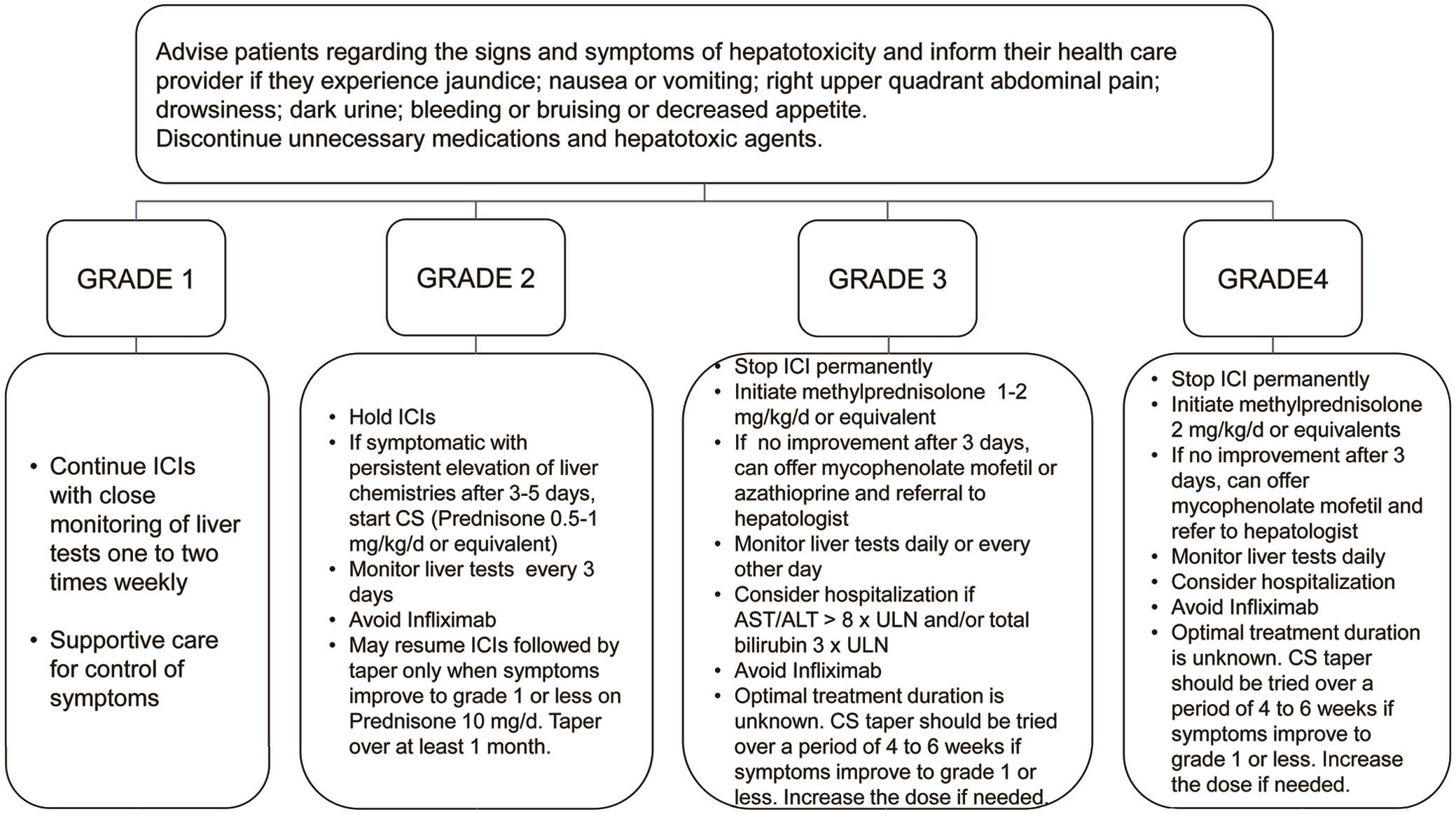Immunotherapy-induced Hepatotoxicity: A Review