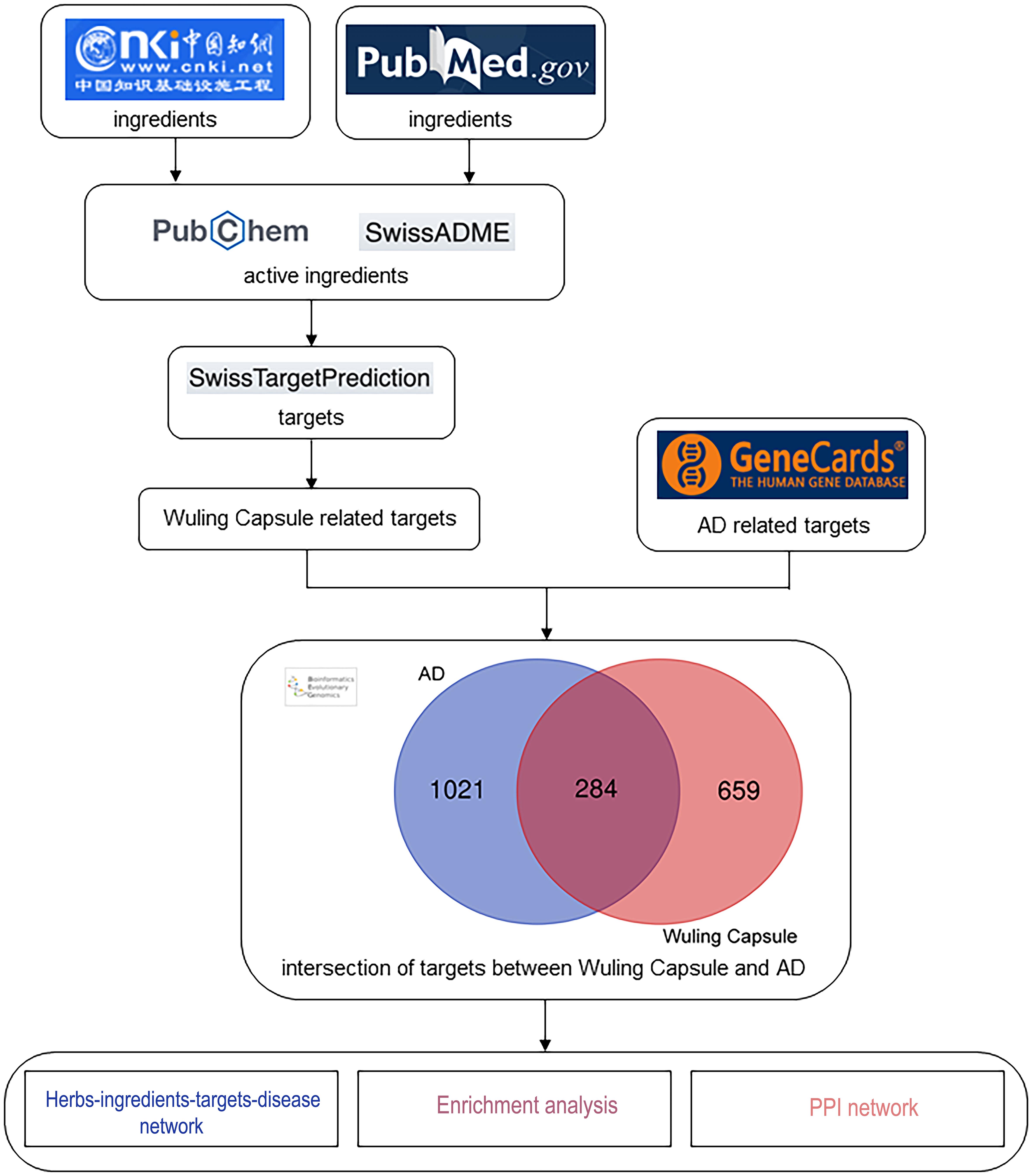 Potential Targets and Pharmacological Effects of Wuling Capsule on ...