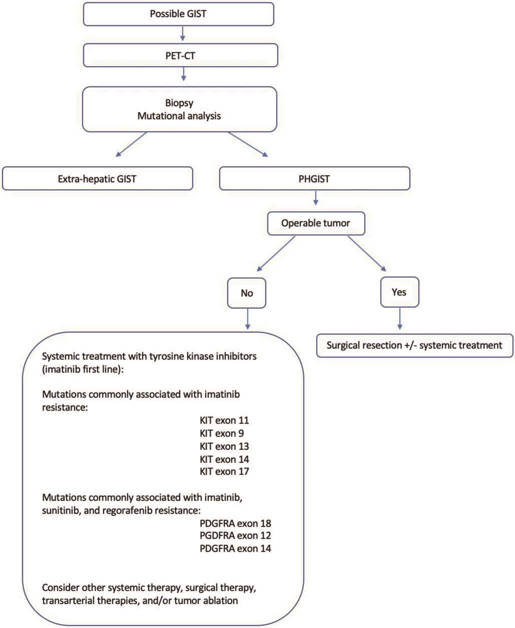 Primary Hepatic Extra-gastrointestinal Stromal Tumors: Molecular ...