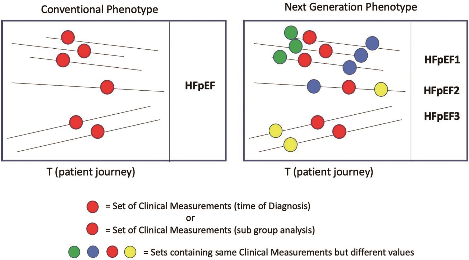 Community Detection in Medicine: Preserved Ejection Fraction Heart ...