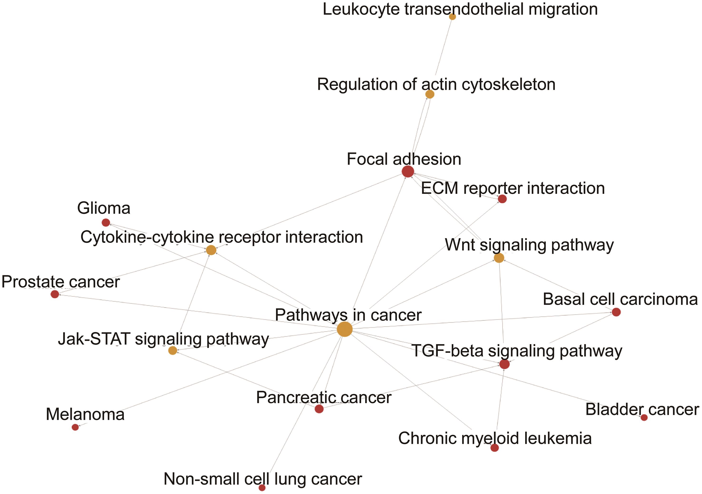Identification of Omentum-derived Molecular Determinants and Pathways ...