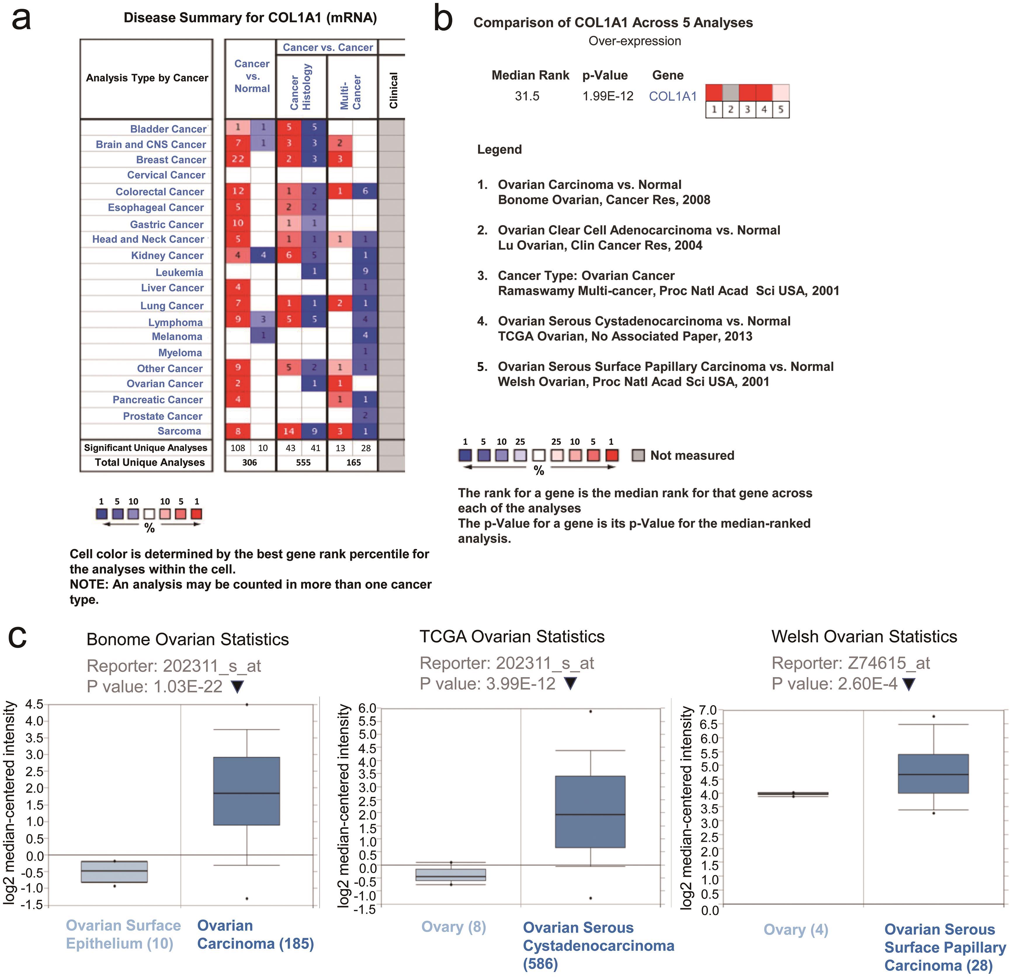 Identification of Omentum-derived Molecular Determinants and Pathways ...