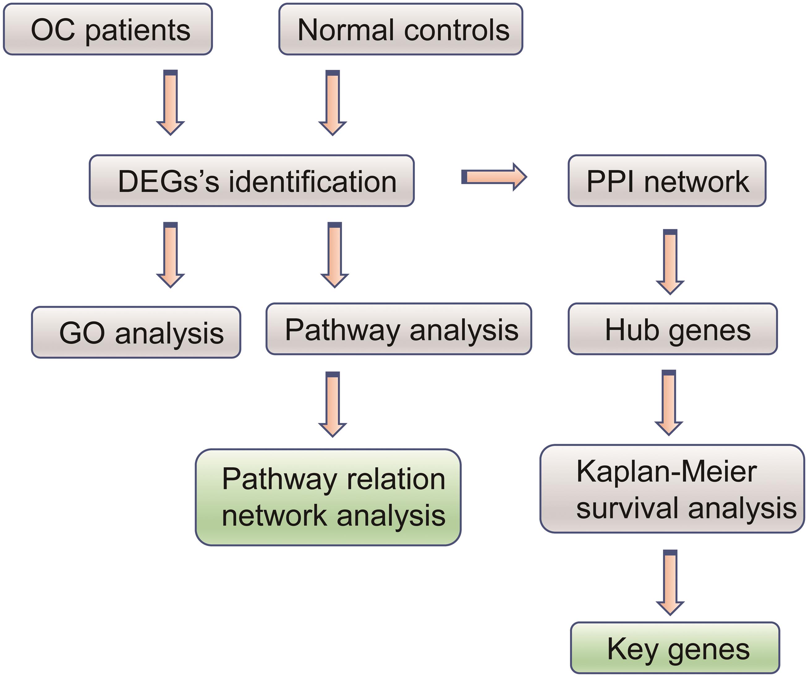 Identification of Omentum-derived Molecular Determinants and Pathways ...