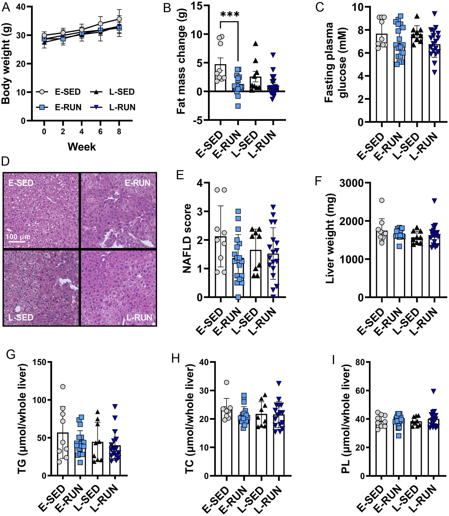 Early but Not Late Exercise Training in Mice Exacerbates Hepatic ...