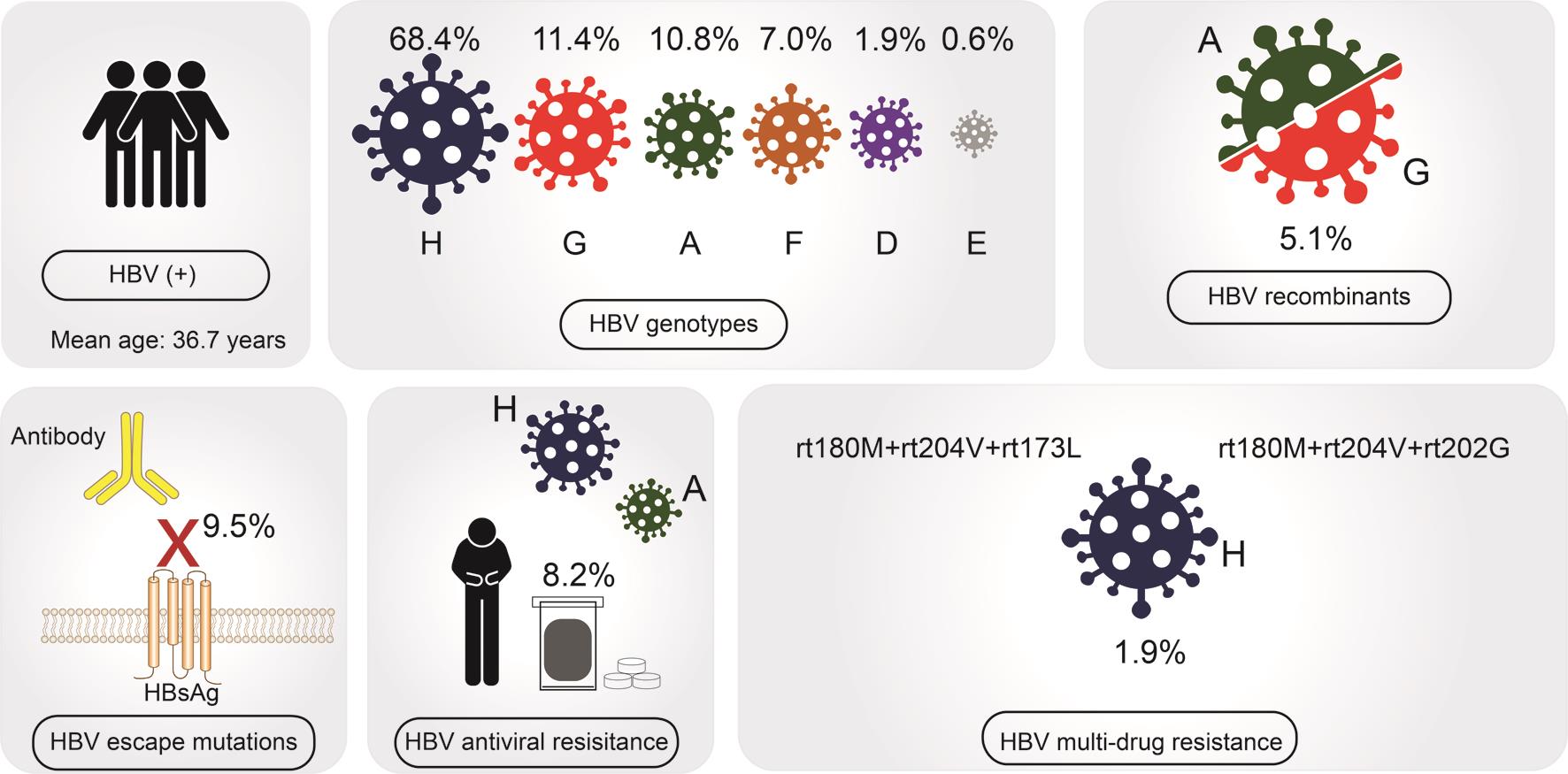 High Frequency of Antiviral Resistance Mutations in HBV Genotypes A2 ...