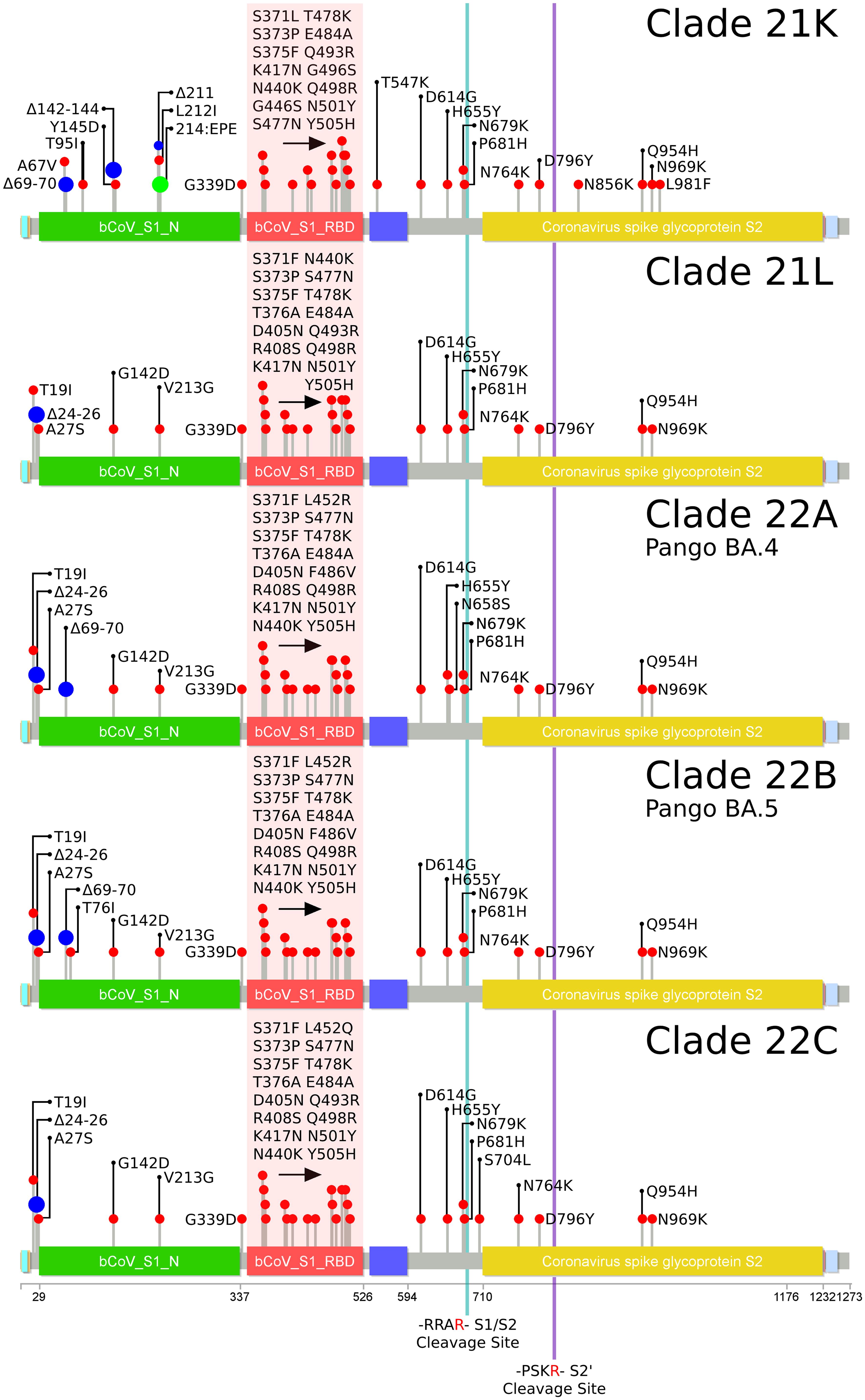 Emergence of the SARS-CoV-2 Omicron Variant: Current Treatments and ...