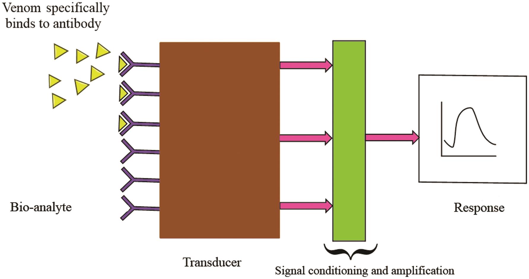 Gfp Biosensor Test Tube Schematic Diagram Biosensor For Gluc Gfp Biosensor Test Tube Schematic Diagram Biosensor For Gluc