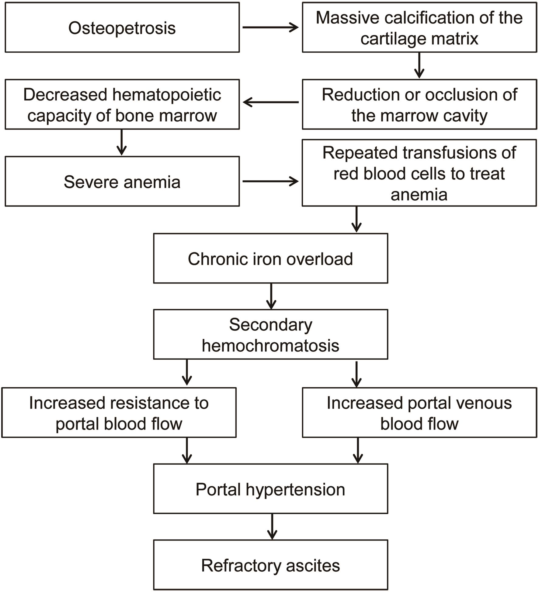 Portal Hypertension Refractory Ascites Caused by Secondary Hemochromatosis