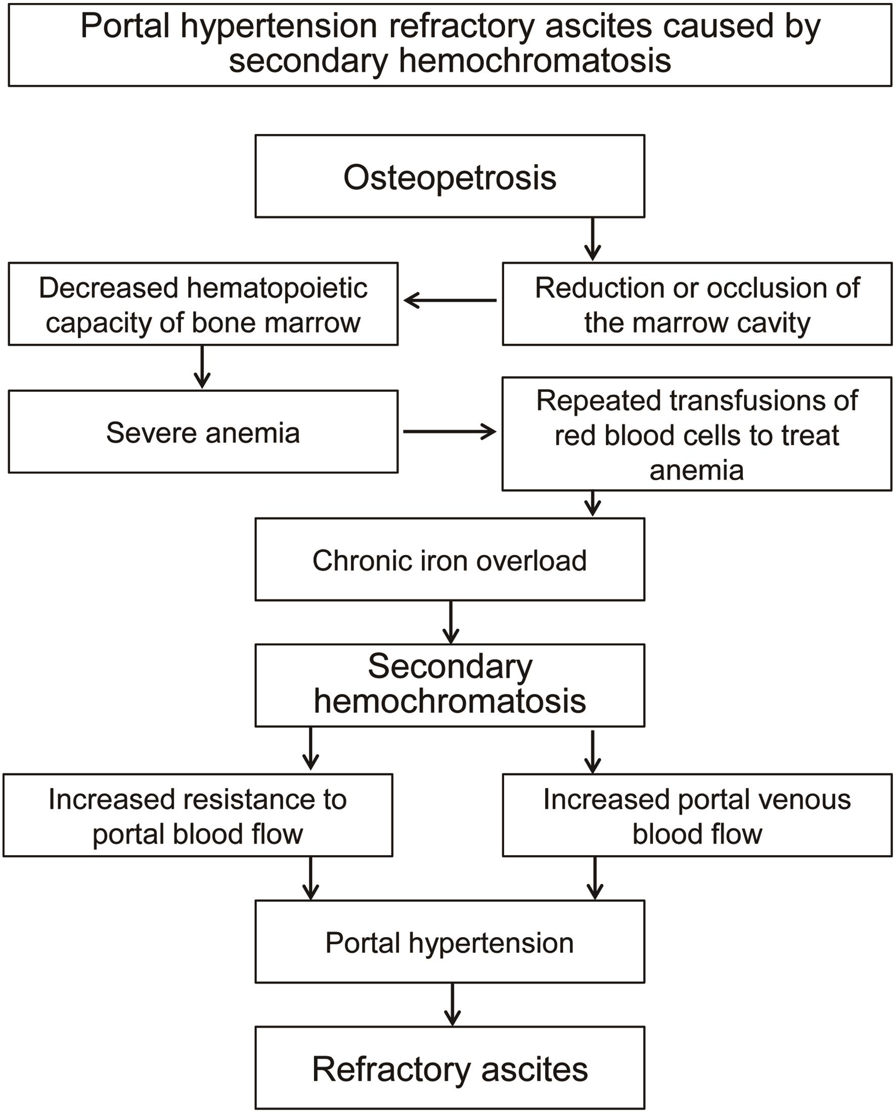 Portal Hypertension Refractory Ascites Caused by Secondary Hemochromatosis