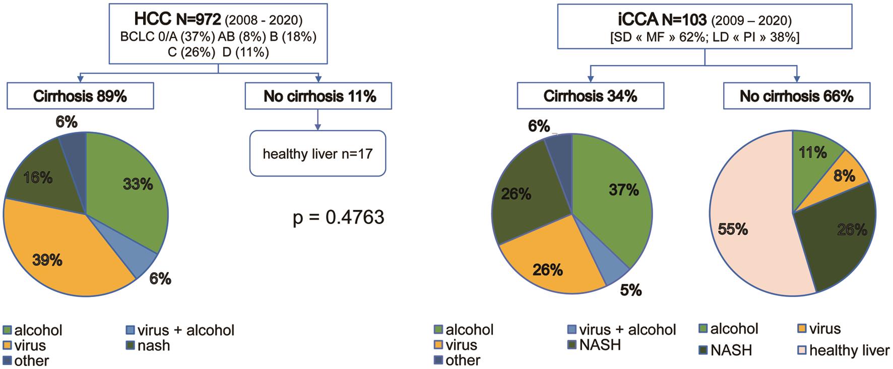 Intrahepatic Cholangiocarcinoma and Hepatocellular Carcinoma: Real-life ...