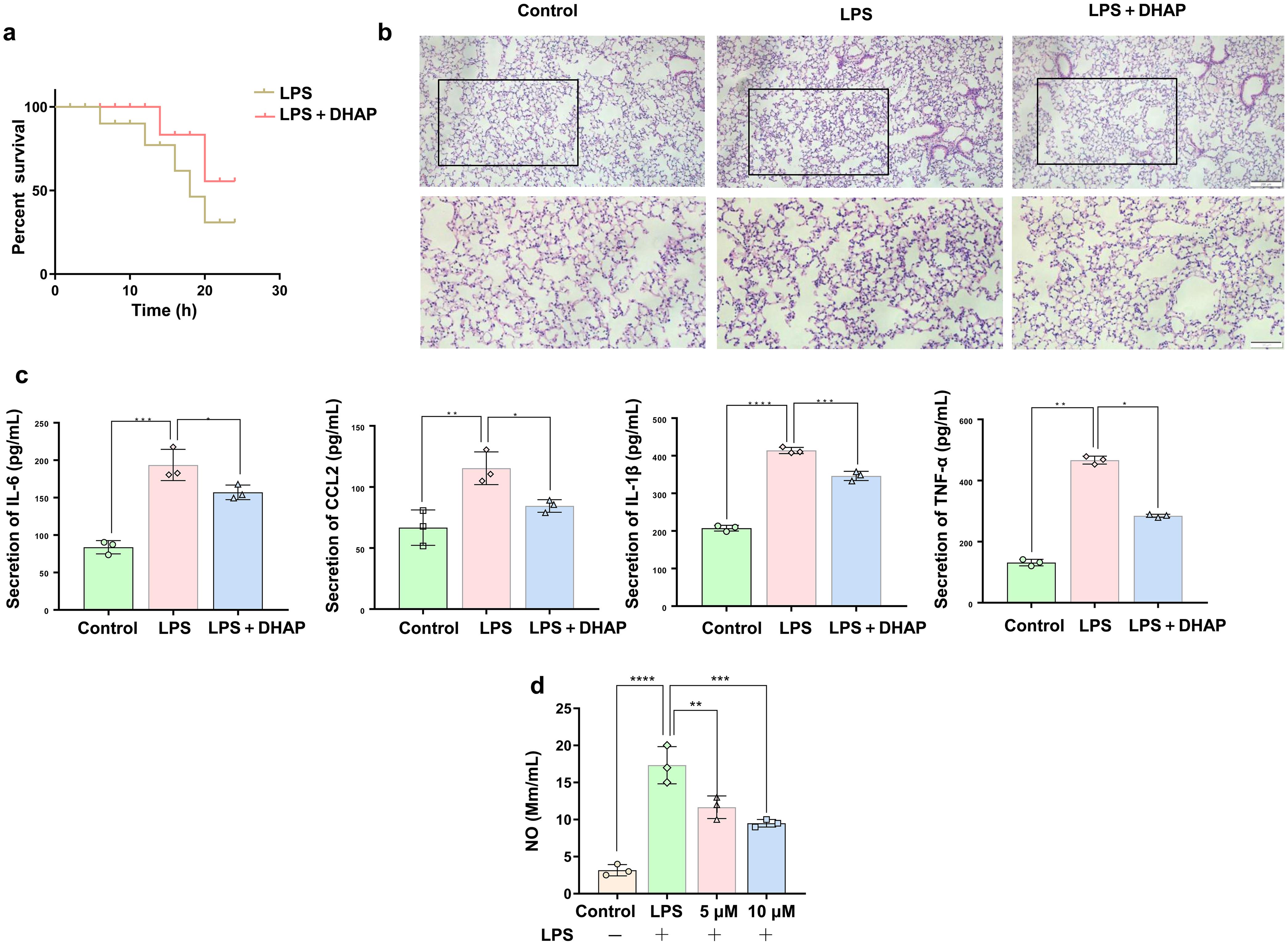 2′, 5′-Dihydroxyacetophenone Alleviates Cytokine Storm by Targeting Hdac1