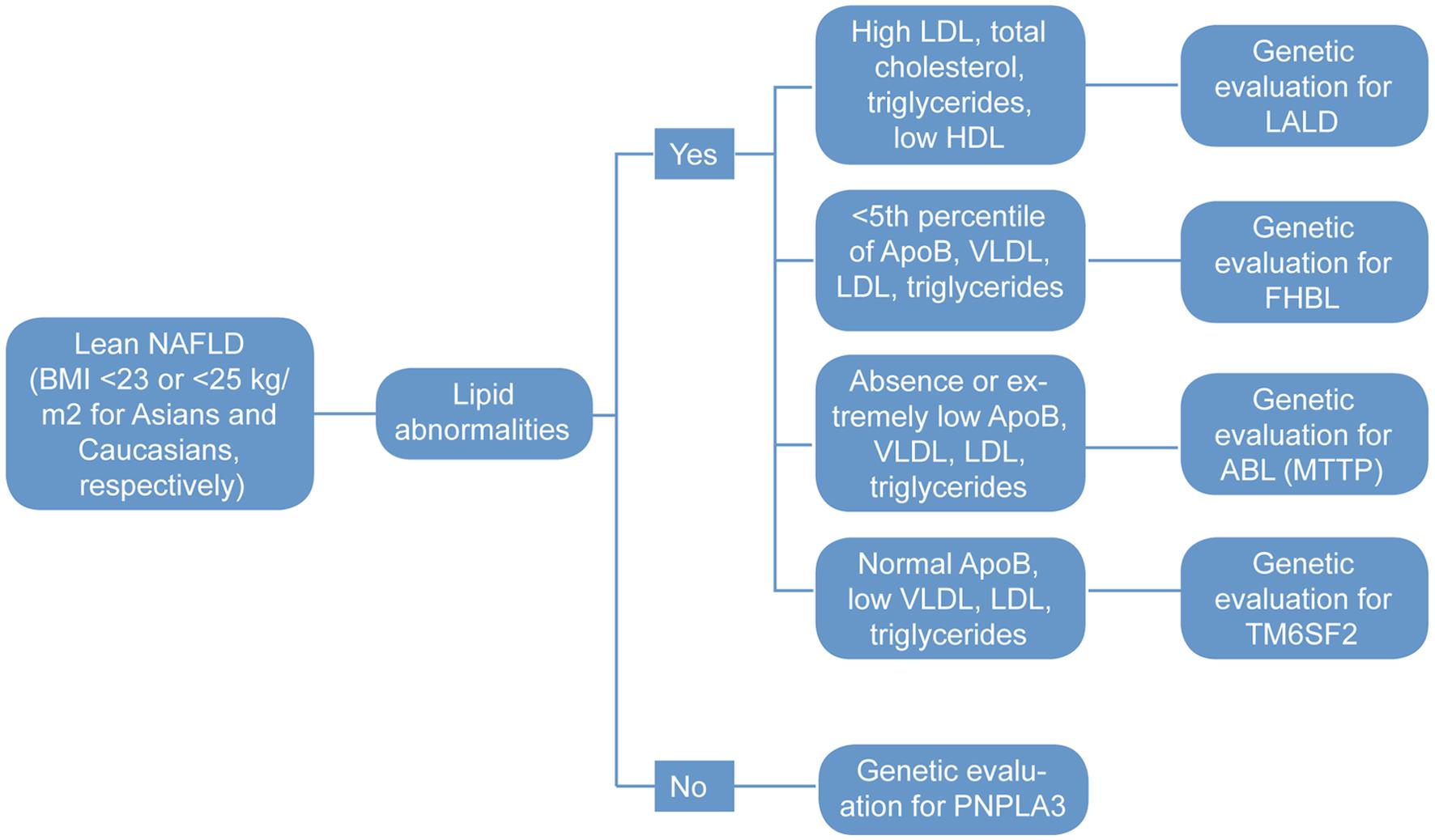 Unique Genetic Features of Lean NAFLD: A Review of Mechanisms and ...