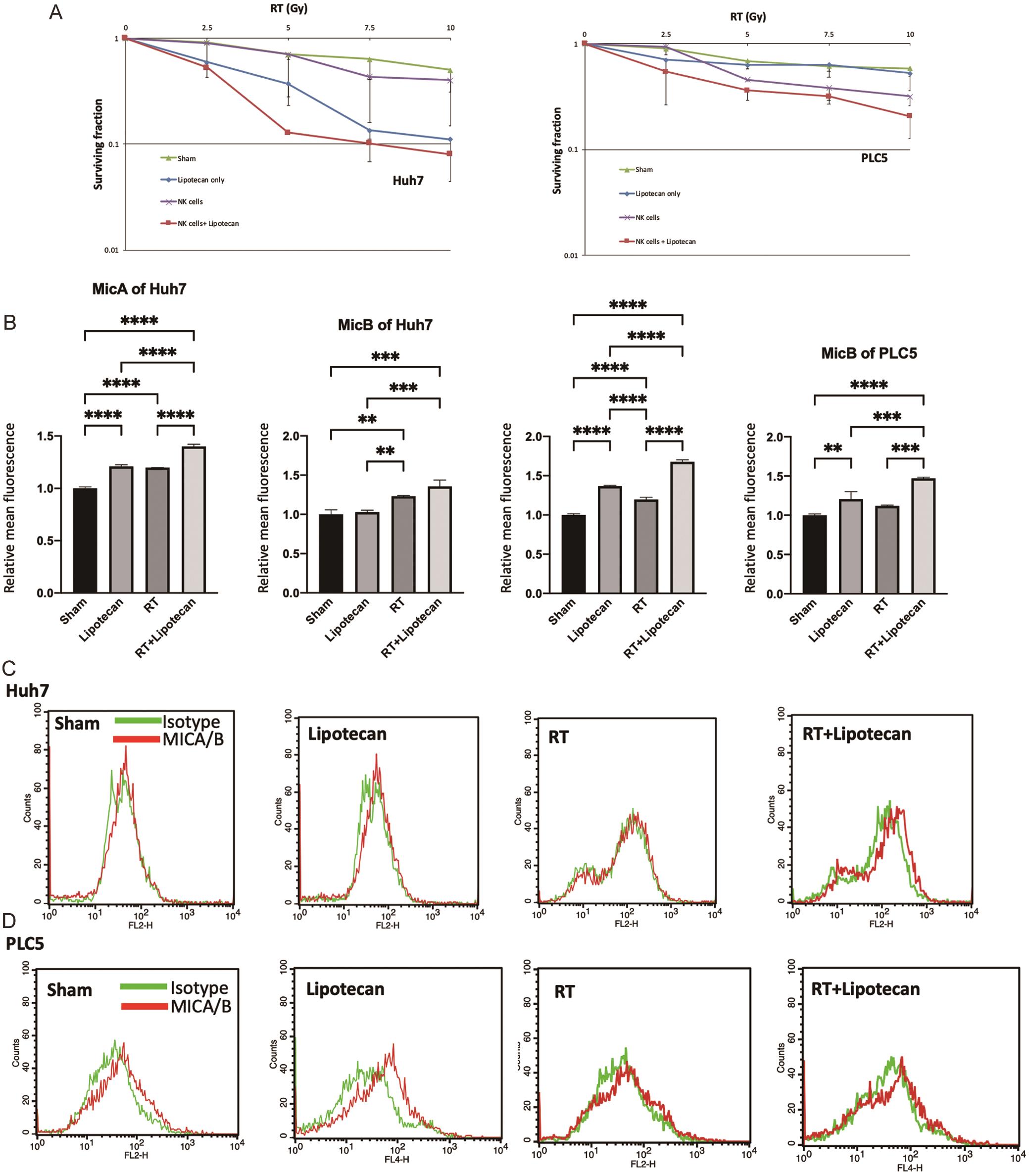 Topoisomerase I Inhibition Radiosensitizing Hepatocellular Carcinoma by ...