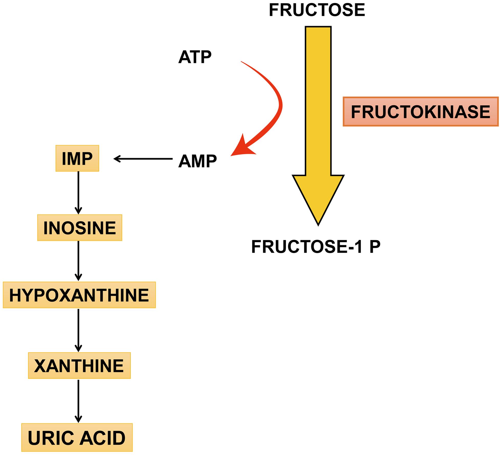 Fructose, Another Sweet for Cancer: A Context Acting Nutrient Hypothesis