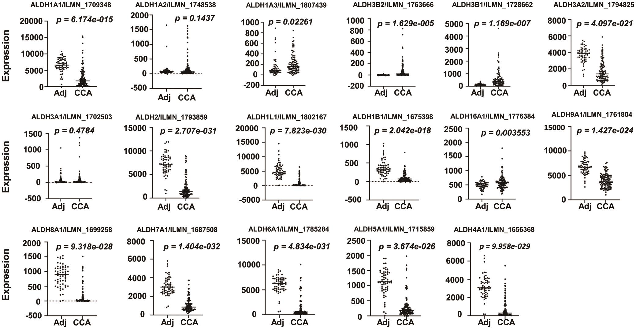 Acetaldehyde Dehydrogenases in Liver Zonation and Liver Cancer