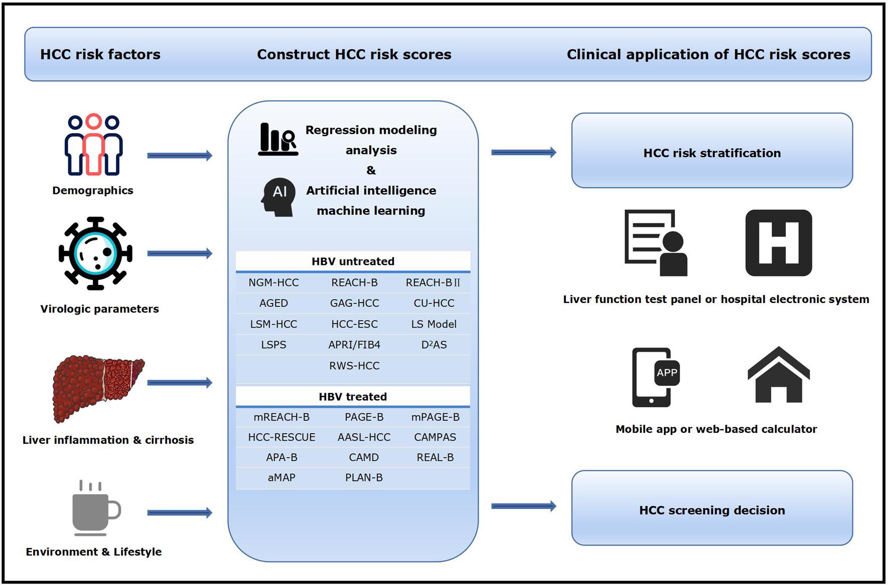 Hepatocellular Carcinoma Risk Scores from Modeling to Real Clinical ...