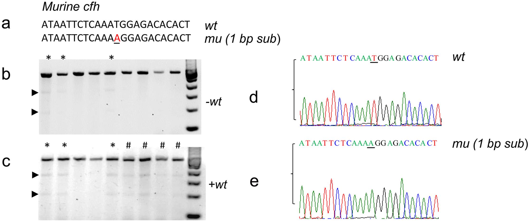 A Simple, Robust, and Cost-effective Method for Genotyping Small-scale ...